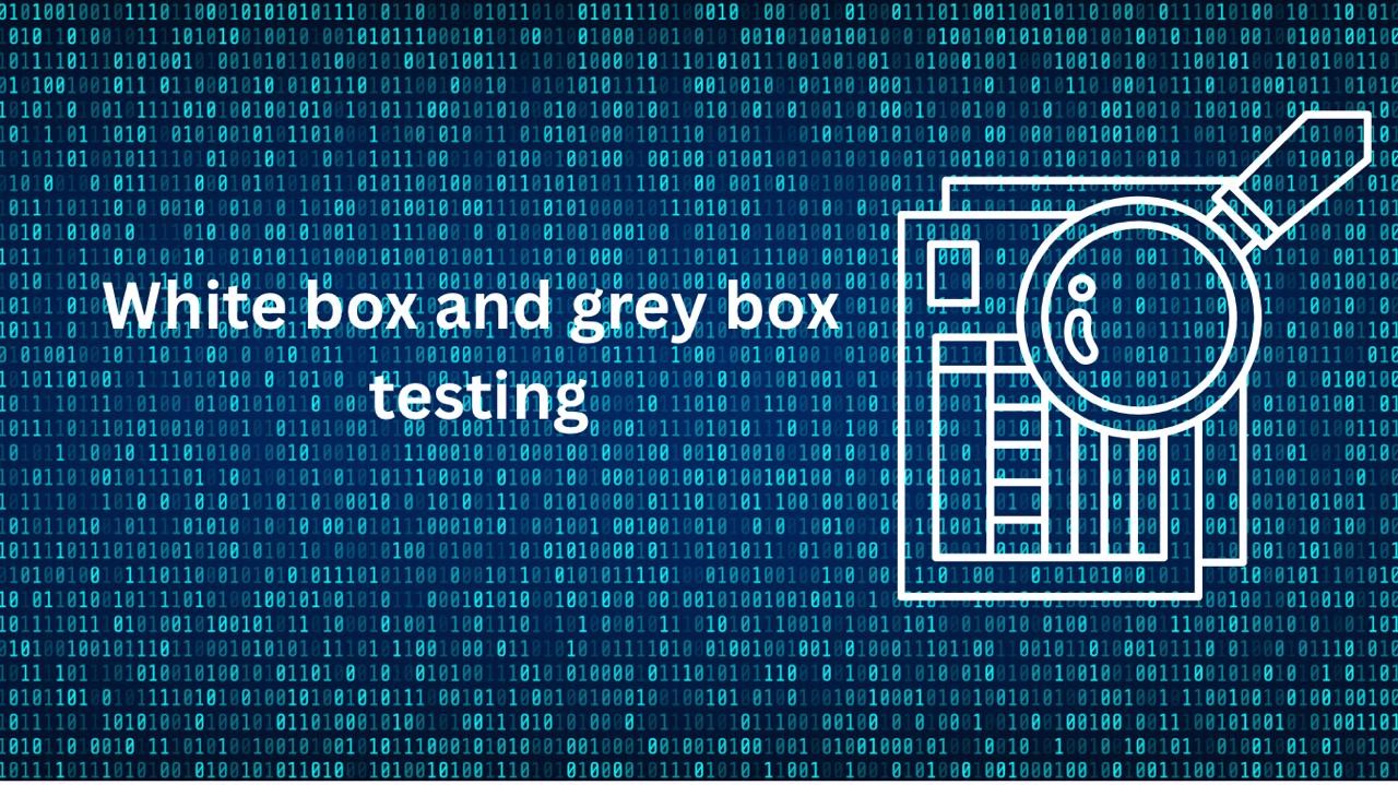 Discover Testing Techniques: A Guide to White Box and Grey Box Testing